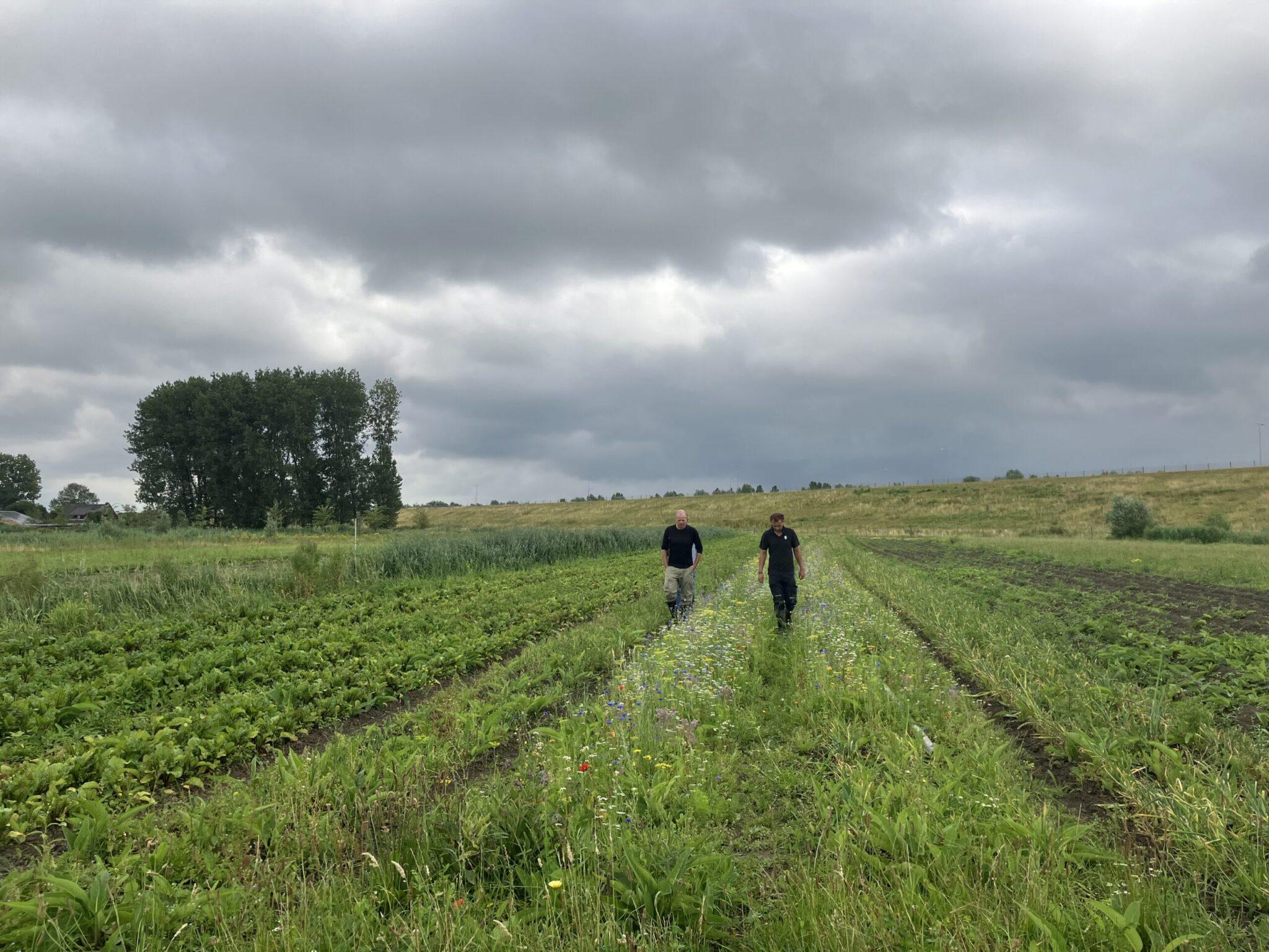 Meer natuur en biodiversiteit bij Herenboeren Rotterdam - Herenboeren